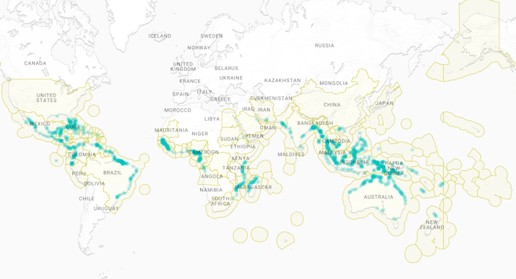 Mapping mangrove forests on small islands using Earth observation ...